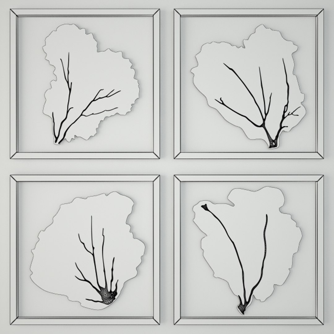 Sea Fans 3D Model - TurboSquid 1215830