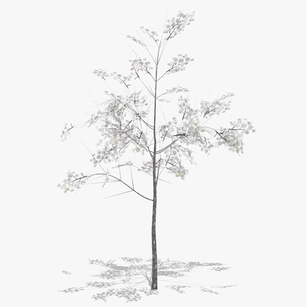 Hawthorn winter 3D model - TurboSquid 1630105