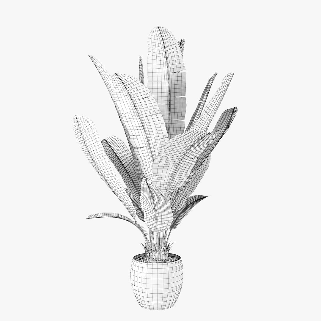 3D Model Banana Tree - TurboSquid 1342745