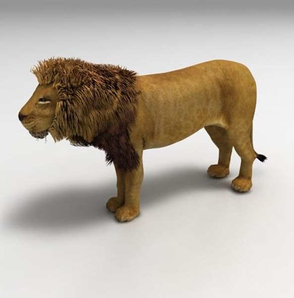 lion max