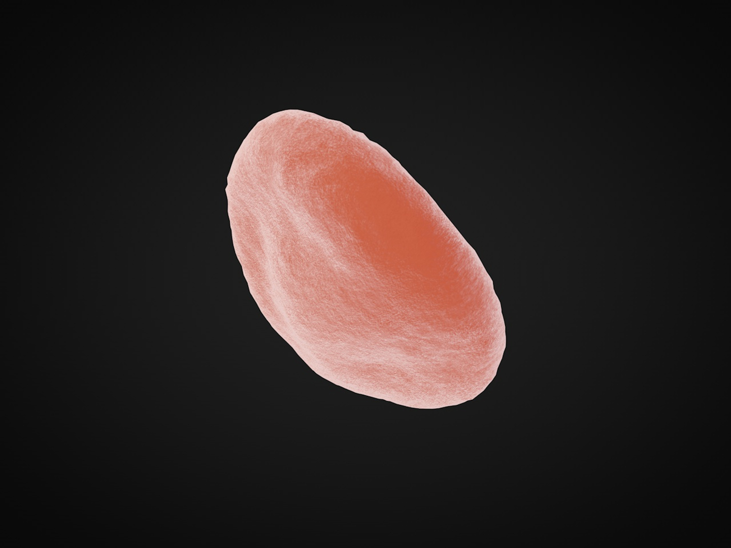 3D red blood cell white model - TurboSquid 1352561