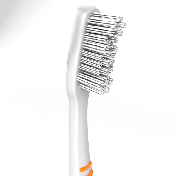 tooth brush toothbrush 3d model