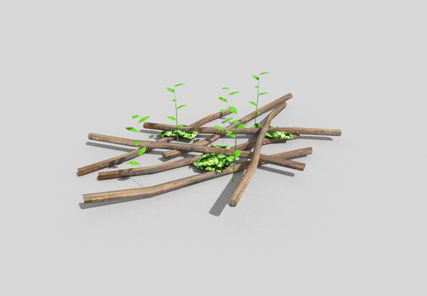forest decoration 3d model