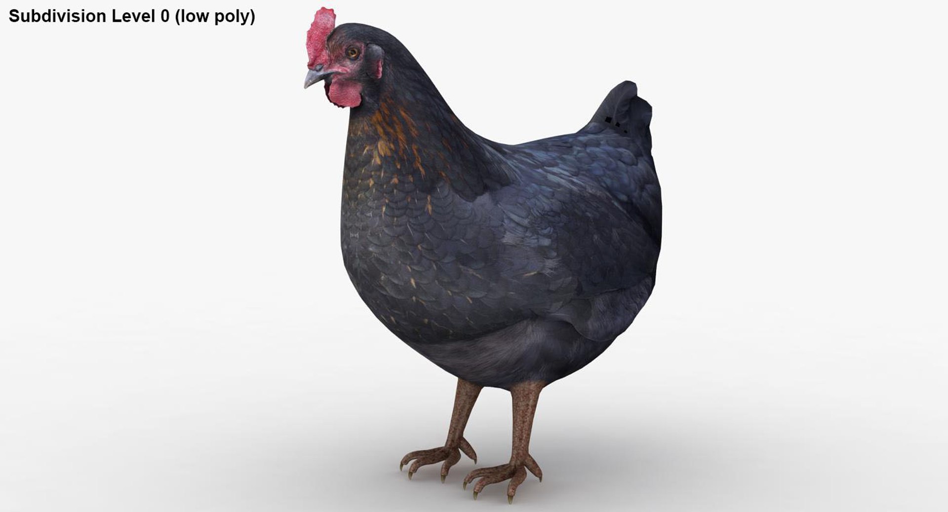 3D realistic hen model - TurboSquid 1151955