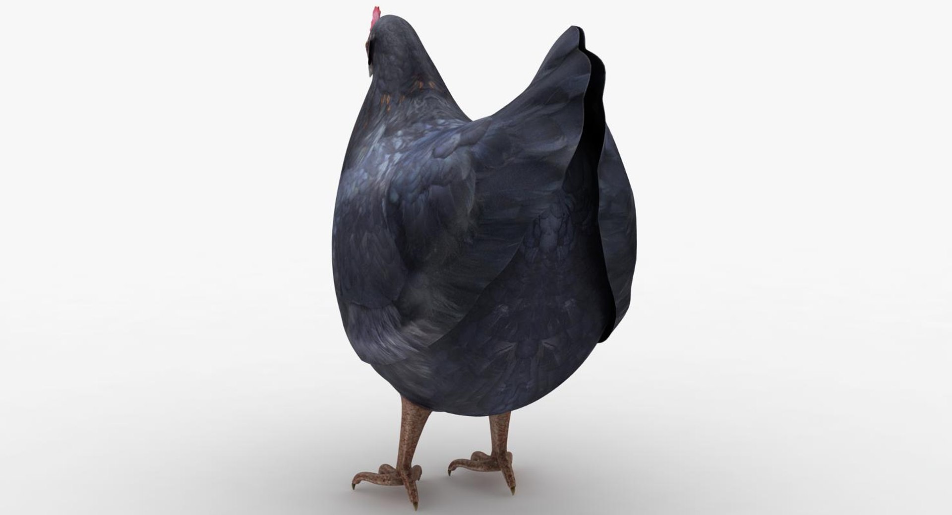 3D realistic hen model - TurboSquid 1151955