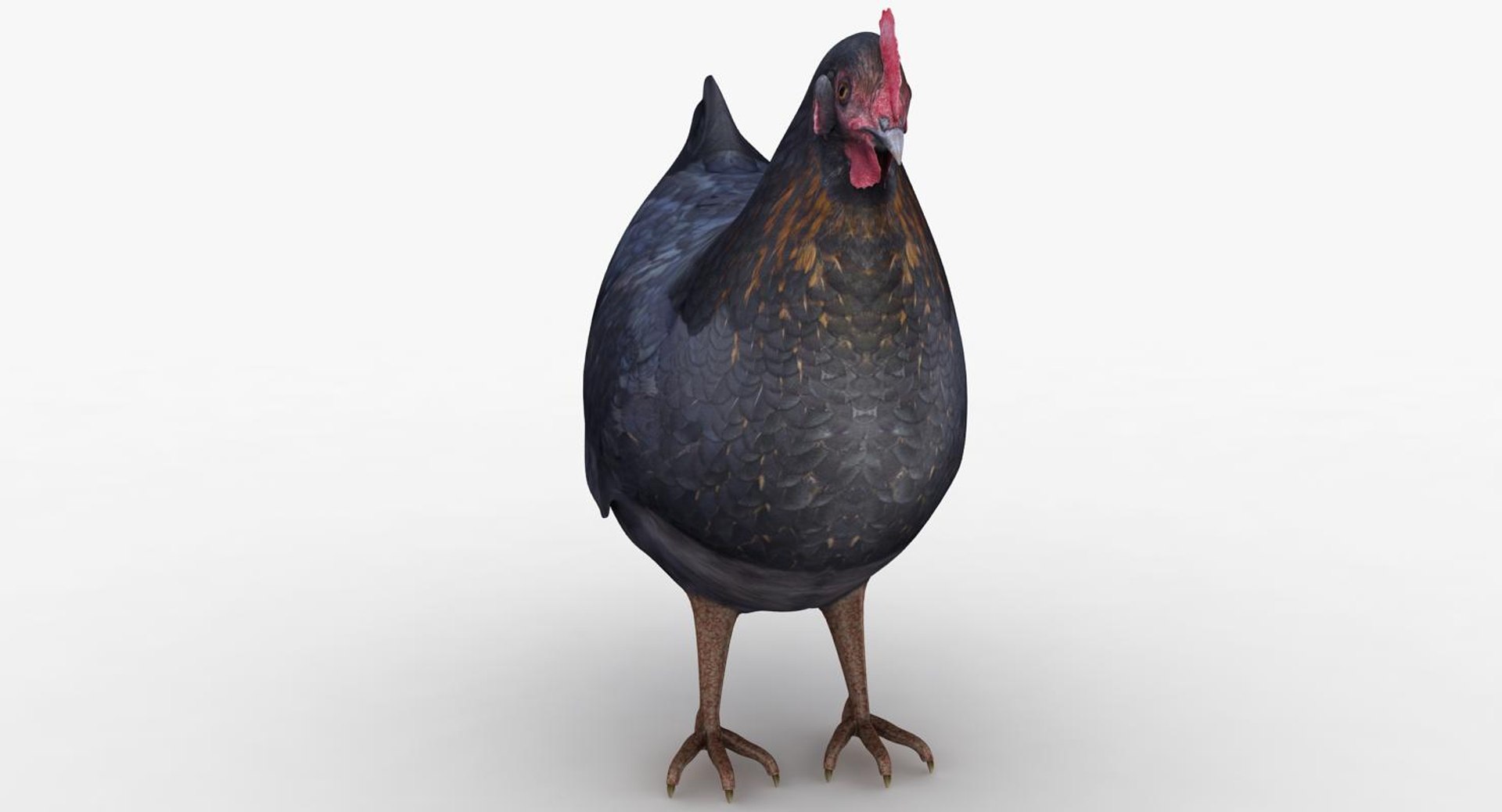 3D realistic hen model - TurboSquid 1151955