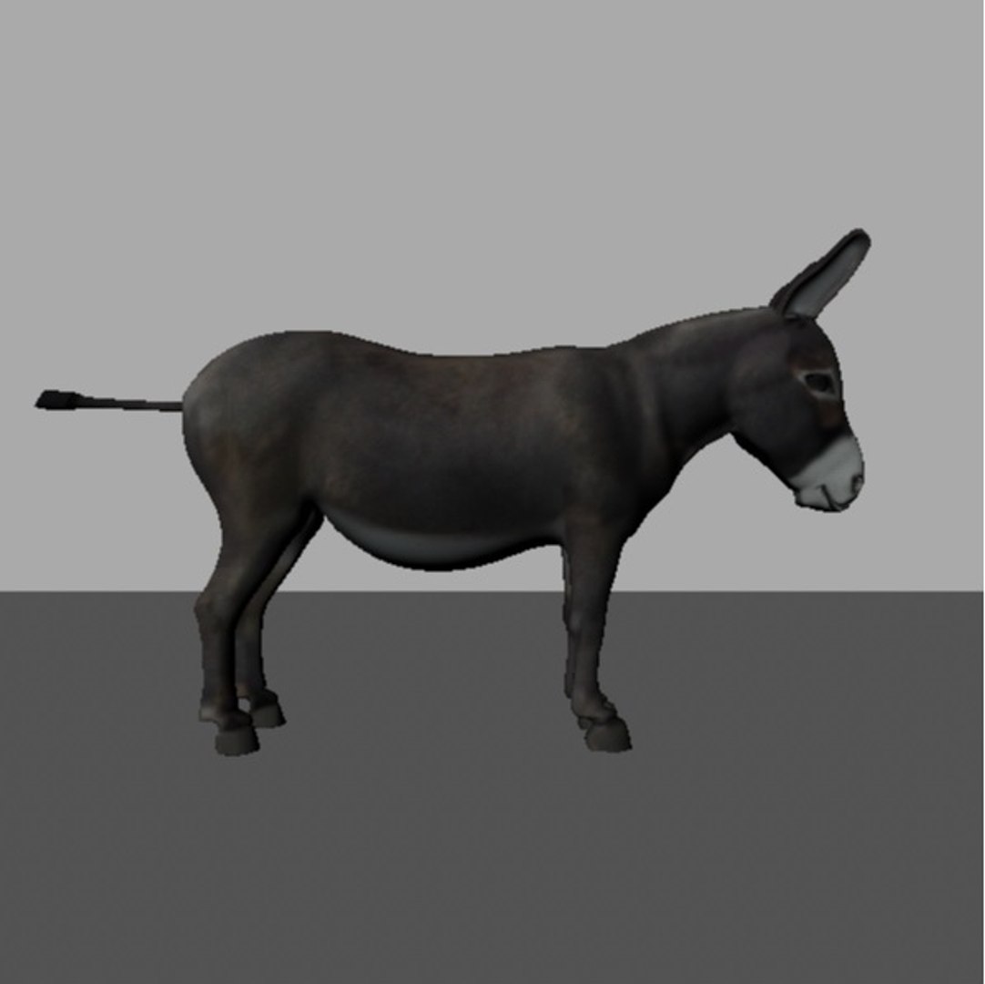 3d Donkey Animation