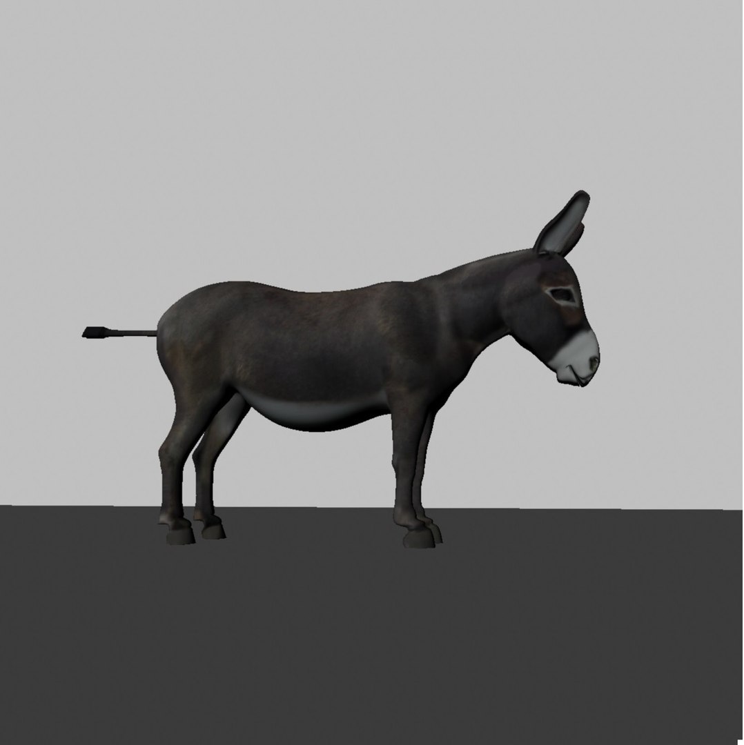 3d Donkey Animation