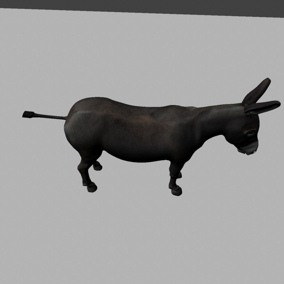 3d Donkey Animation