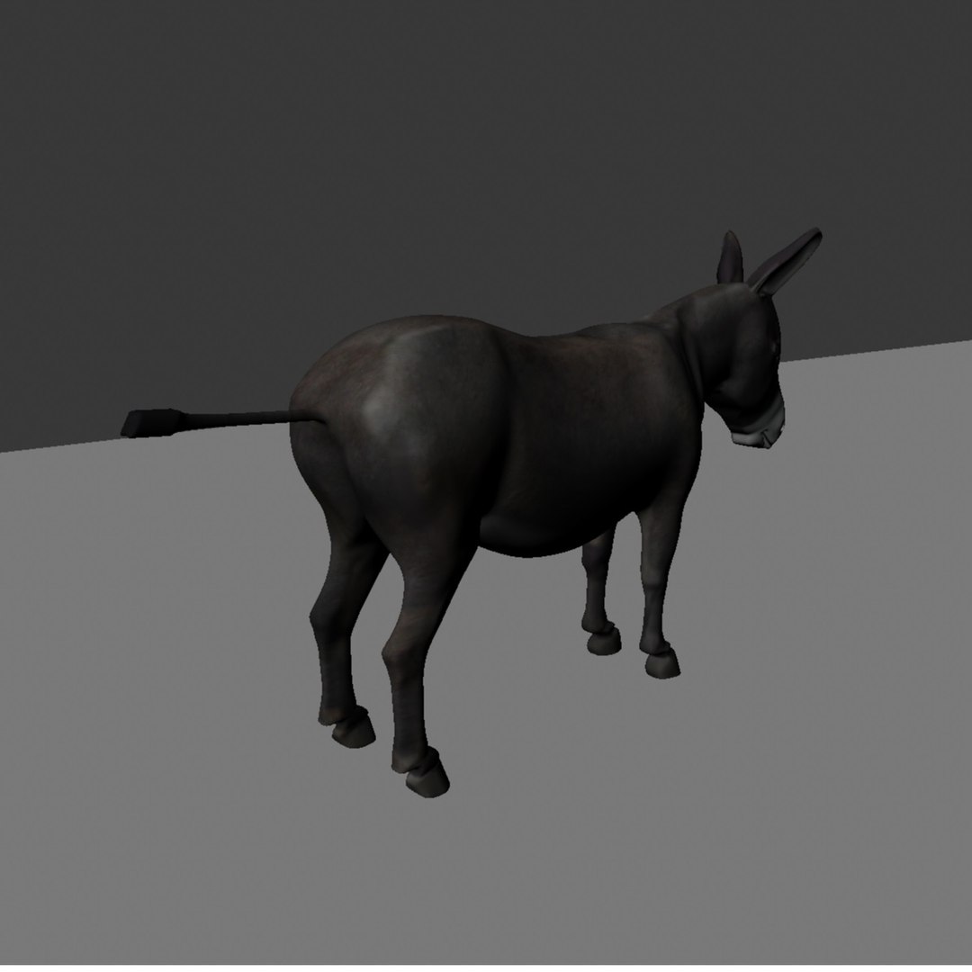 3d Donkey Animation