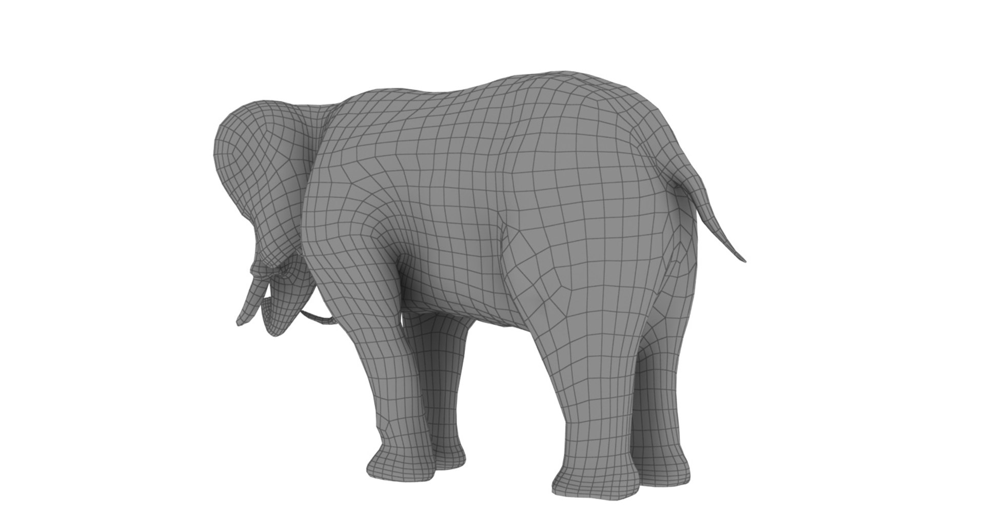 Realistic elephant model - TurboSquid 1423773