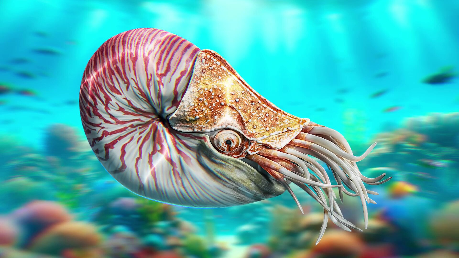Nautilus Pompilius - Shell Mollusk - Underwater Tentacles - 44 3D Model ...
