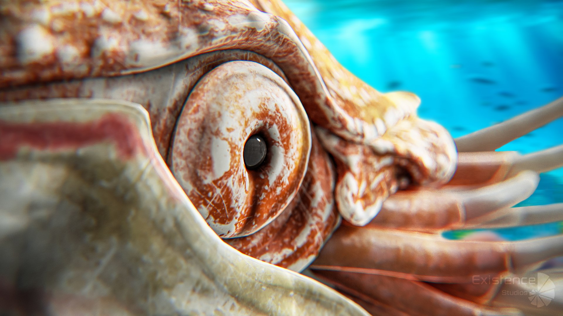 Nautilus Pompilius - Shell Mollusk - Underwater Tentacles - 44 3D Model ...