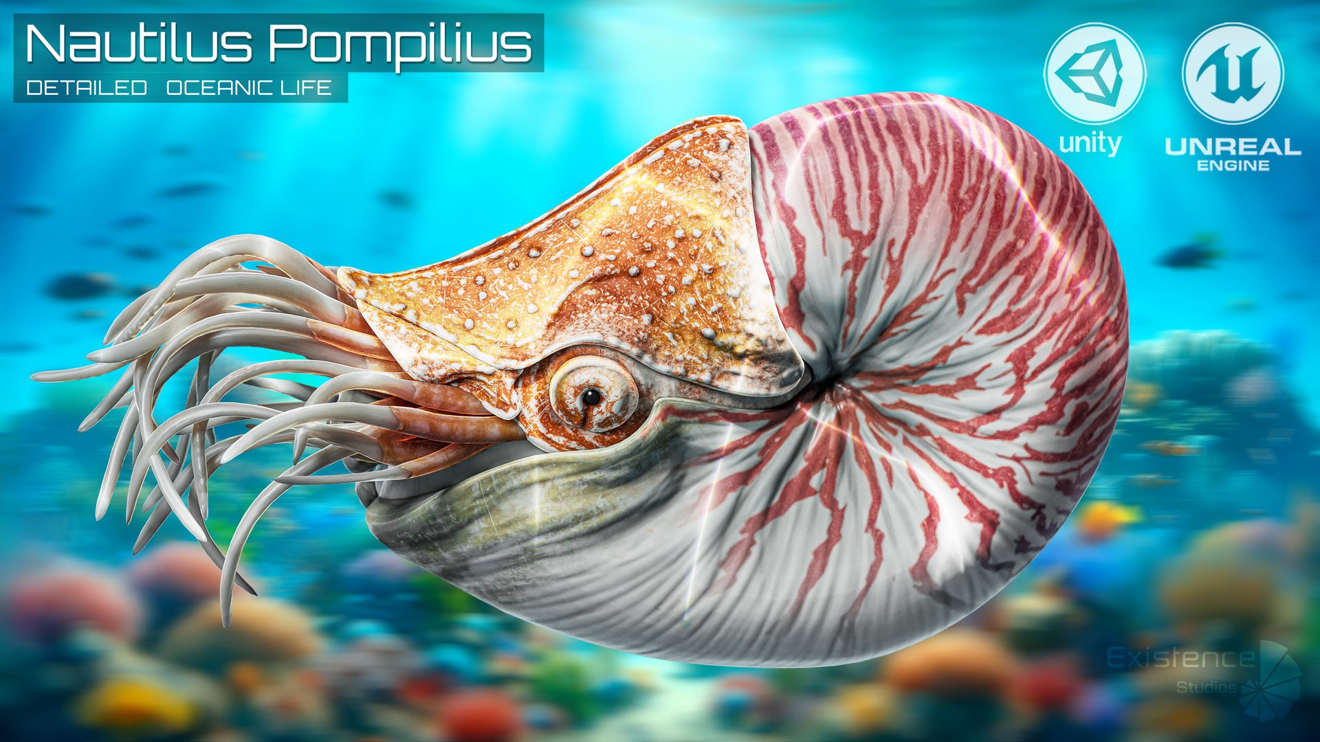Nautilus Pompilius - Shell Mollusk - Underwater Tentacles - 44 3D Model ...
