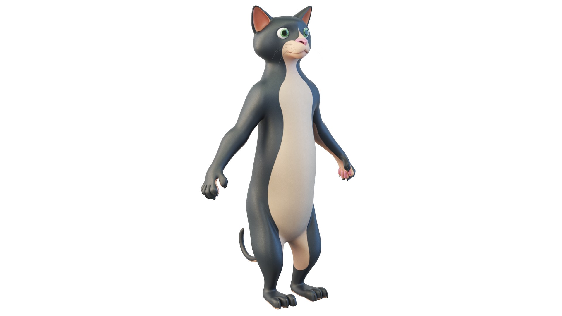 Cartoon Cat Character 3D - TurboSquid 2107115