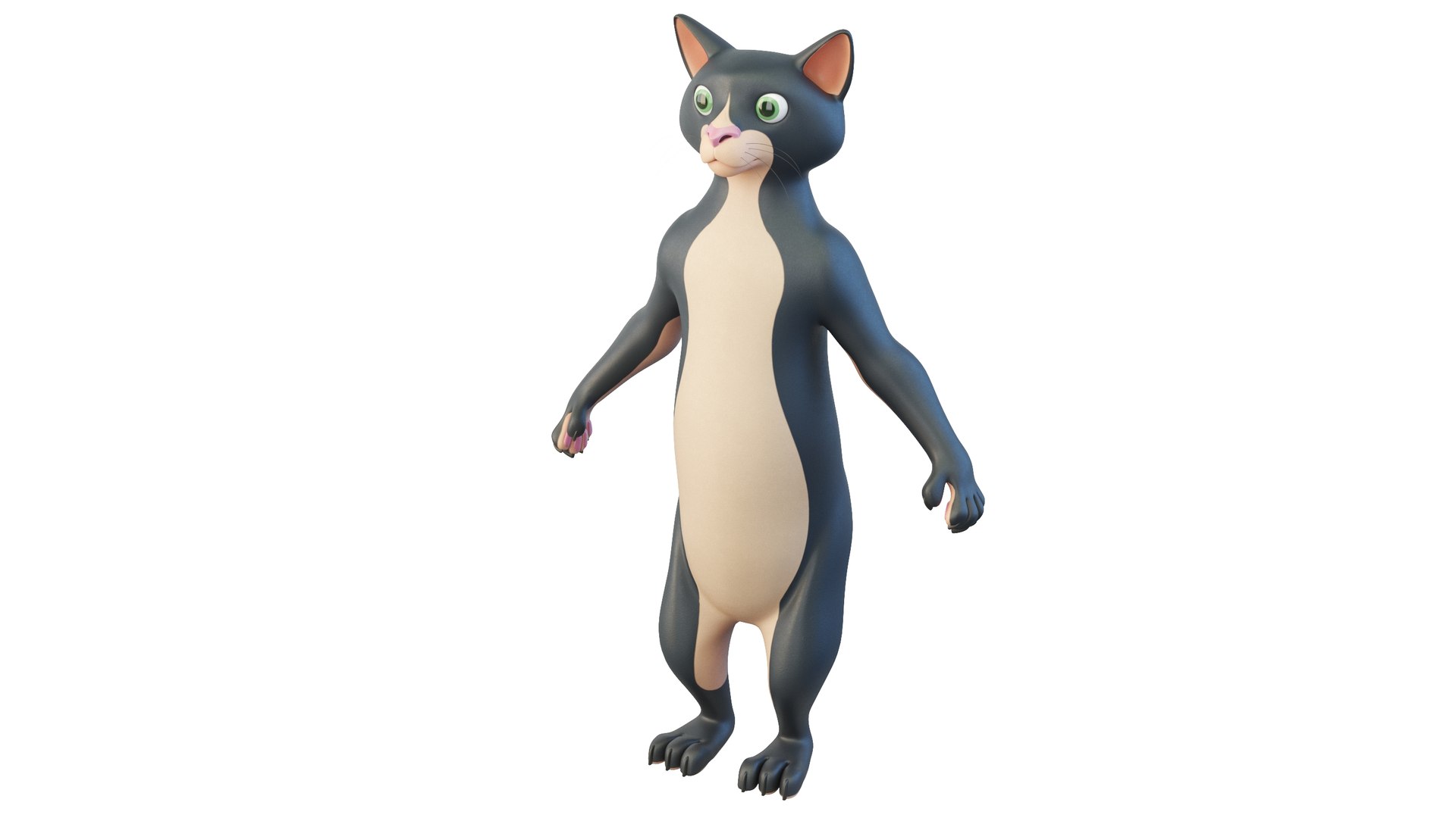 Cartoon Cat Character 3D - TurboSquid 2107115