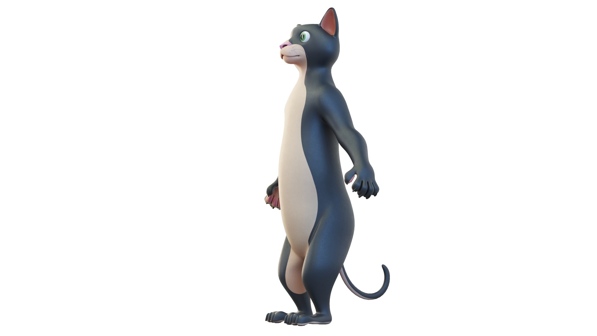 Cartoon Cat Character 3D - TurboSquid 2107115