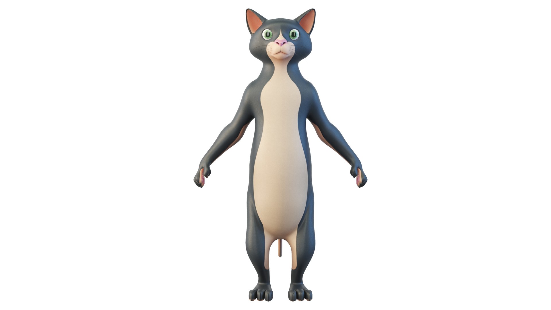 Cartoon Cat Character 3D - TurboSquid 2107115