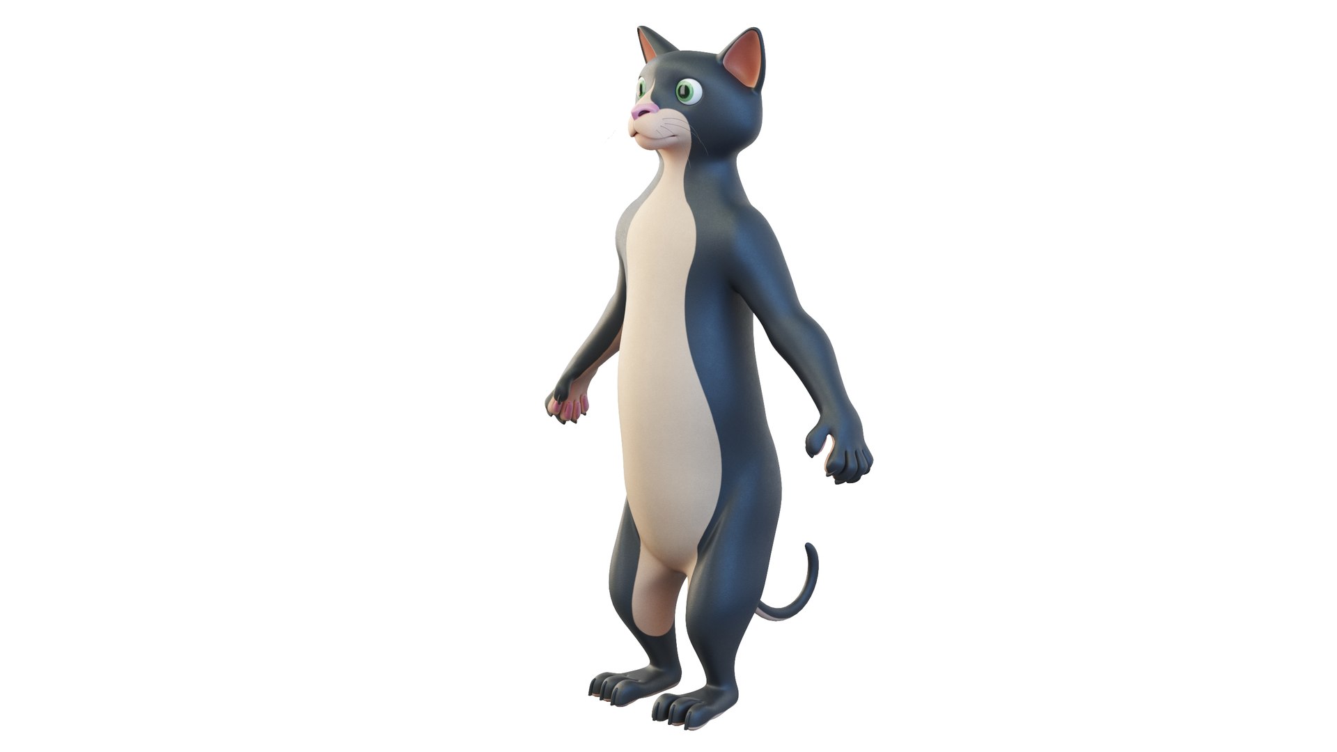 Cartoon Cat Character 3D - TurboSquid 2107115