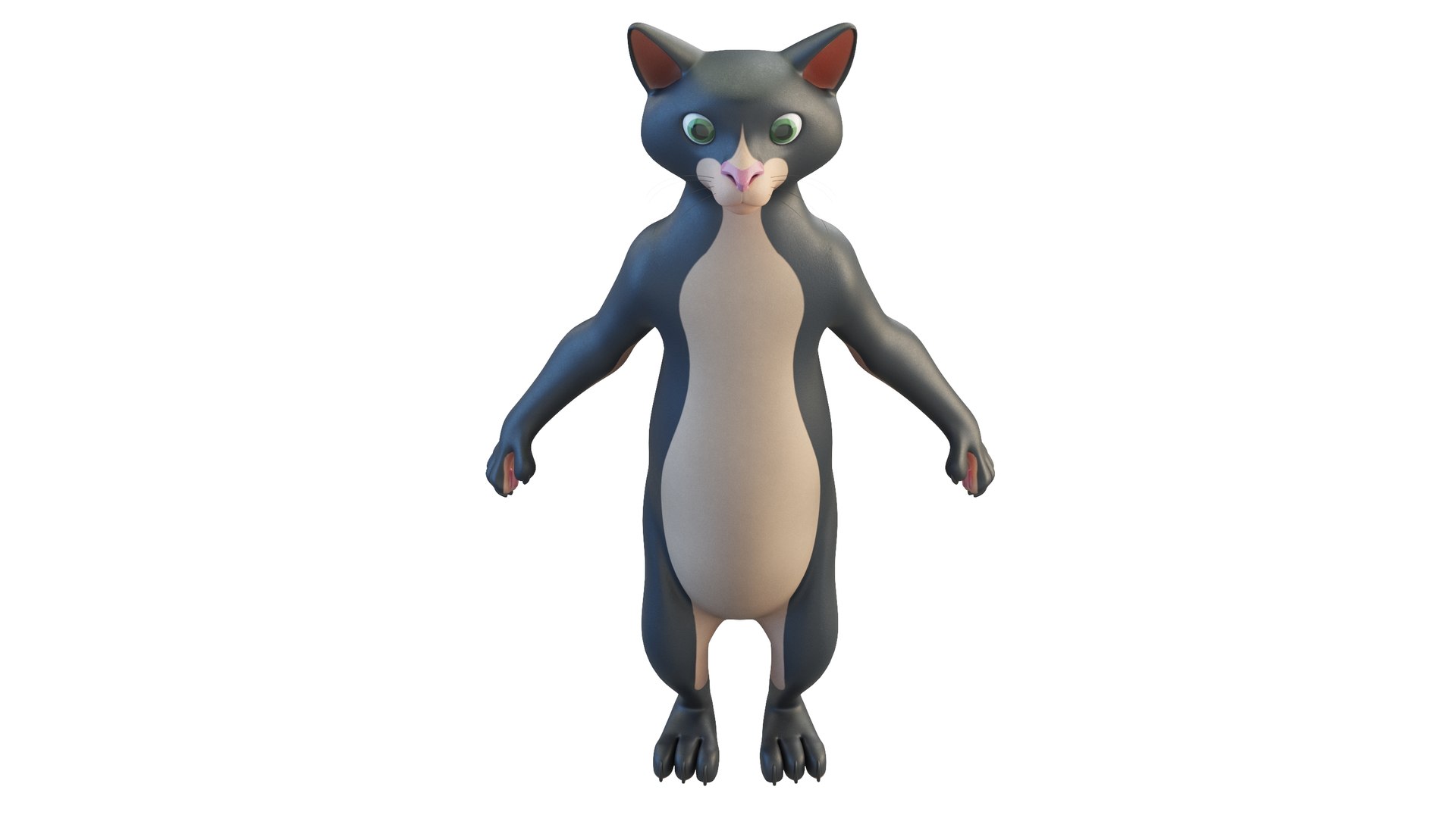 Cartoon Cat Character 3D - TurboSquid 2107115