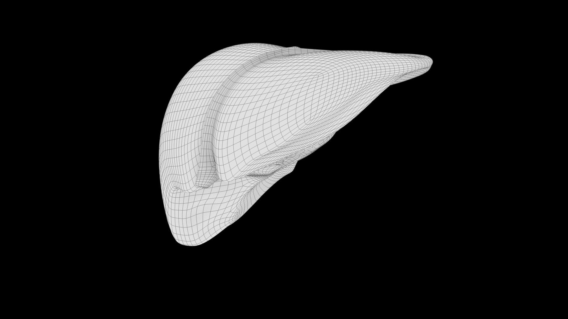 3D Human Liver Anatomy - TurboSquid 1735065