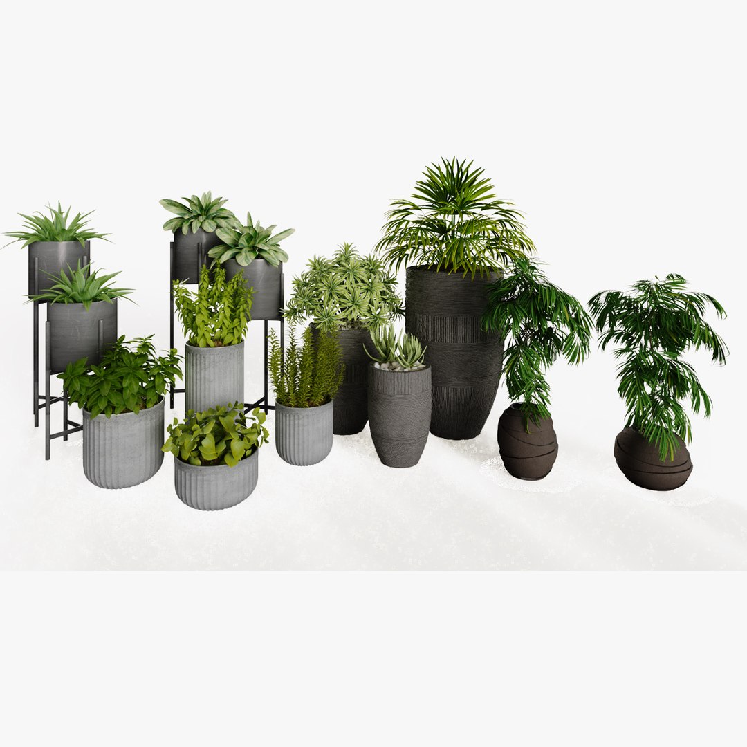 3D Decorative Plants Model - TurboSquid 2058846
