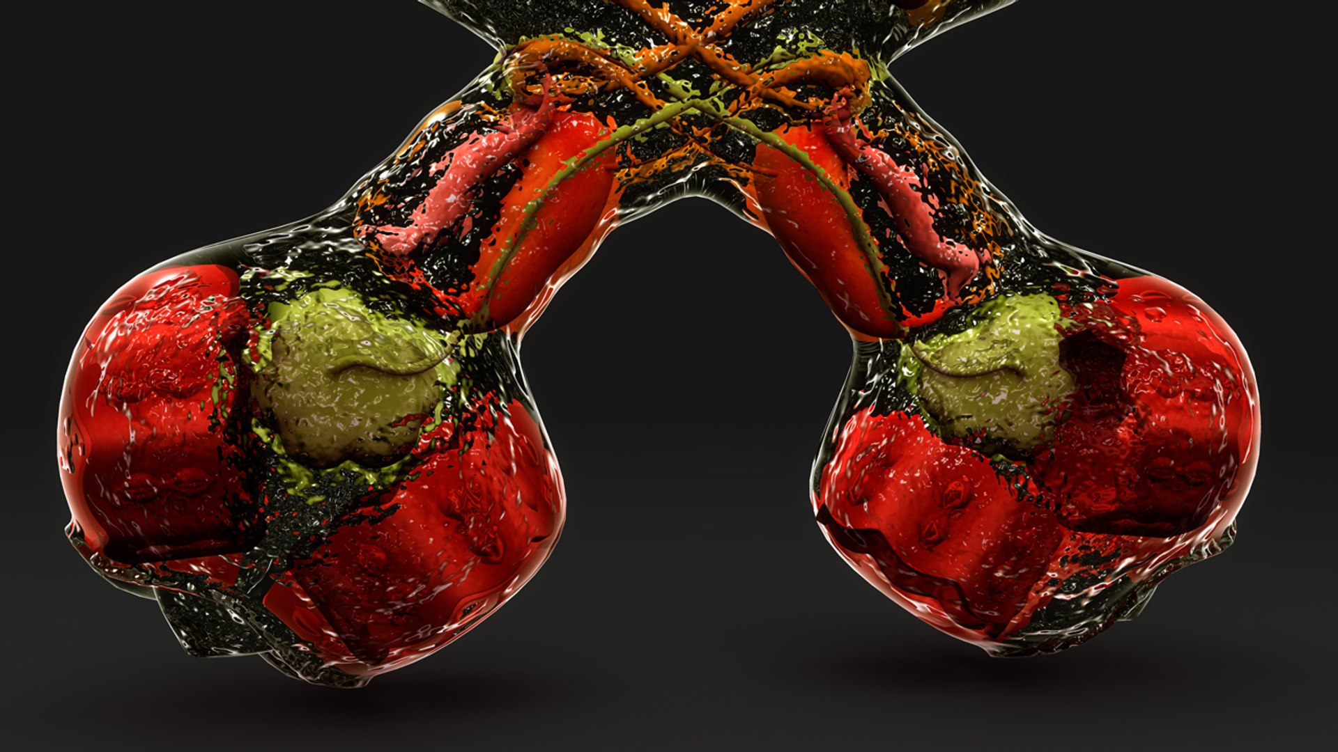 diplozoon paradoxum flatworm 3d model