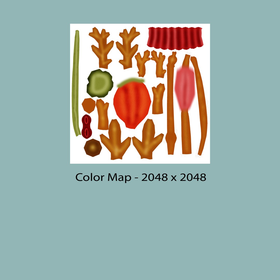 diplozoon paradoxum flatworm 3d model