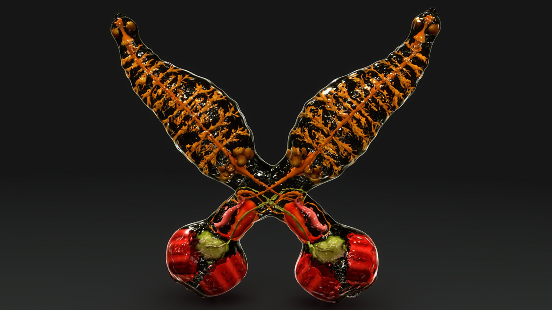 diplozoon paradoxum flatworm 3d model