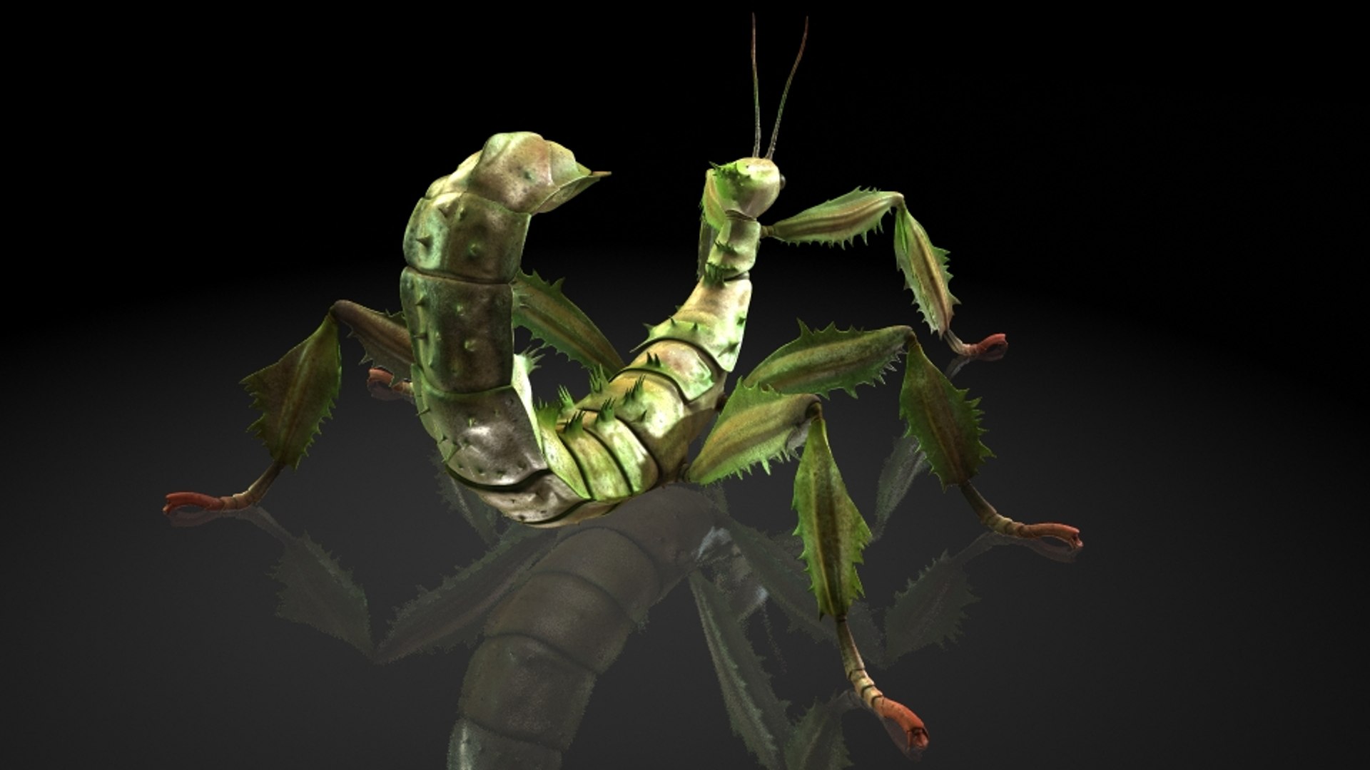 3D insects - TurboSquid 1311273