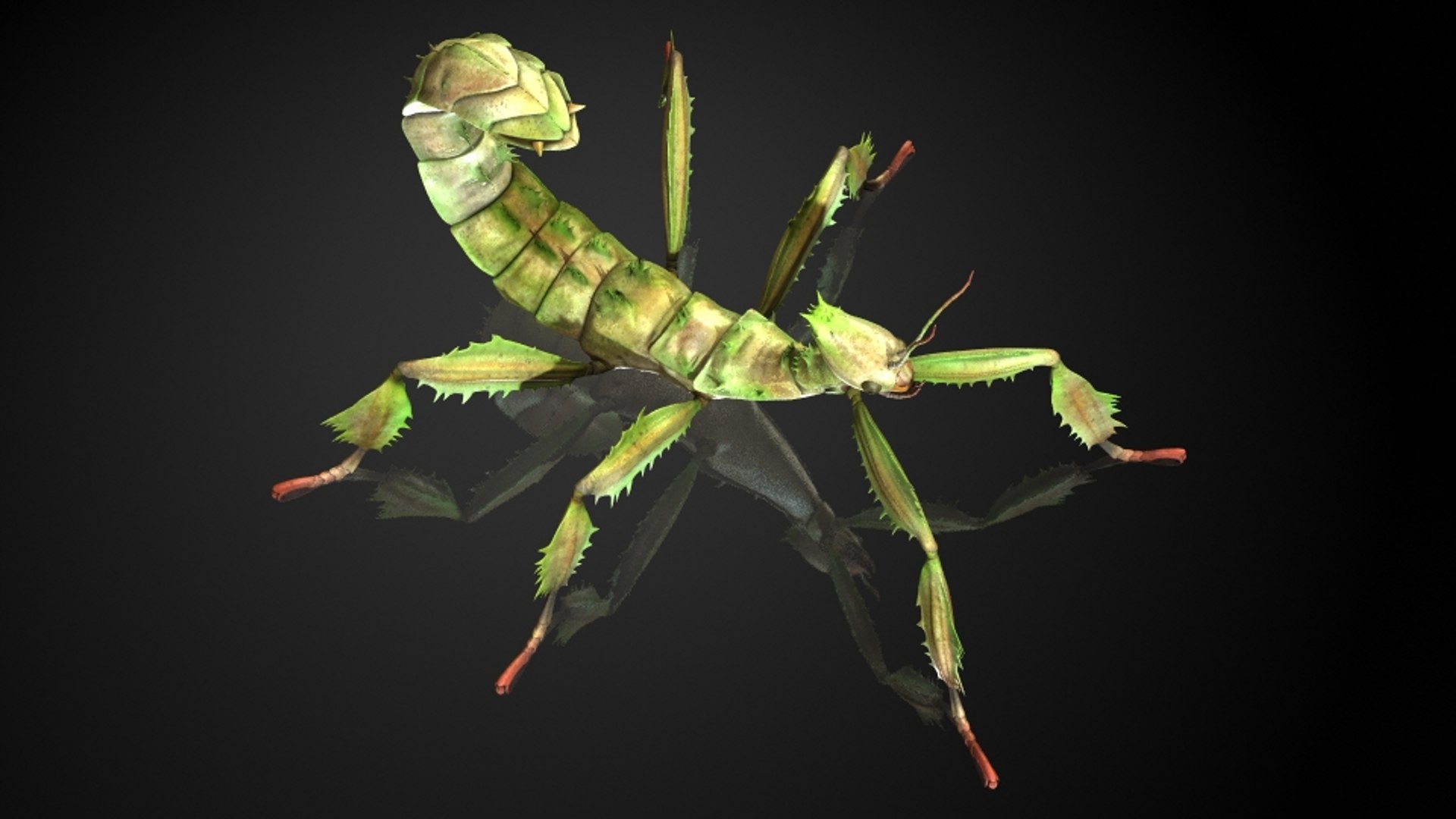 3D insects - TurboSquid 1311273
