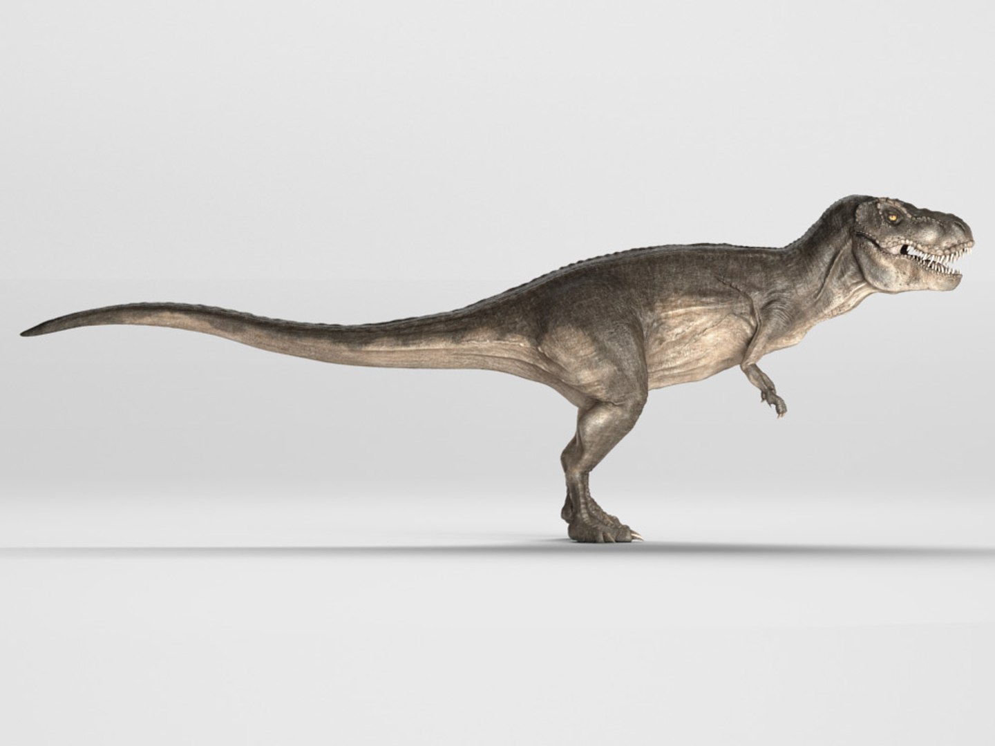 trex - 3d obj
