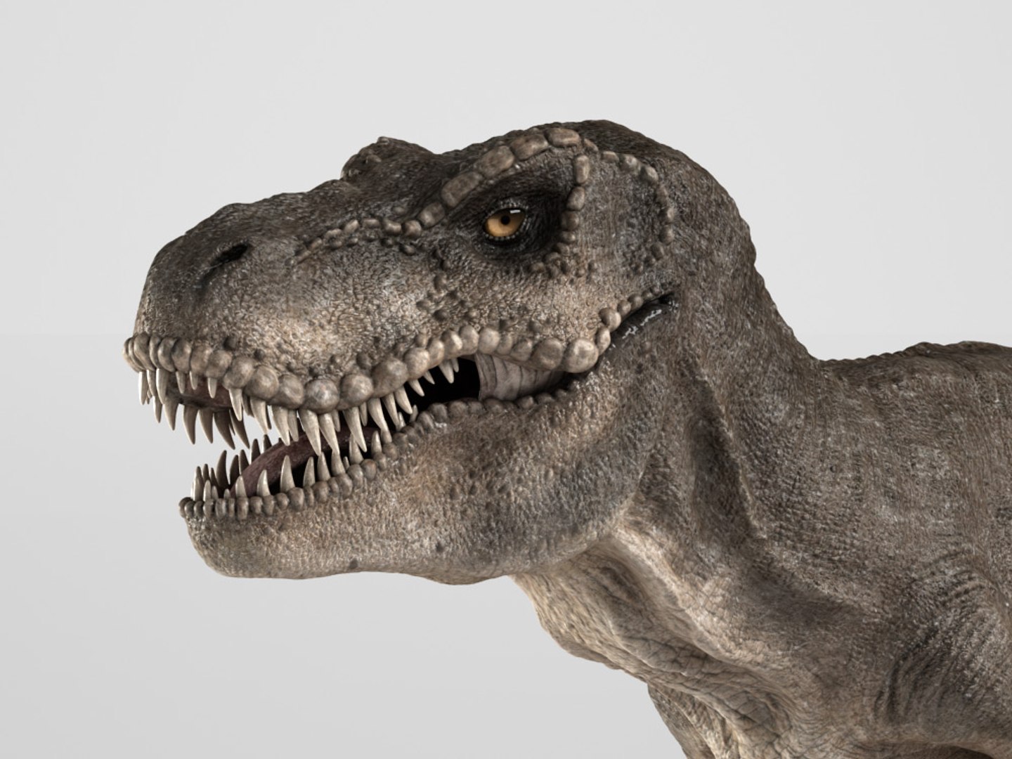 Trex - 3d Obj