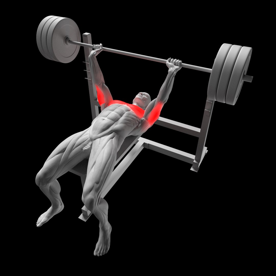 Bench Press Model - TurboSquid 2229021