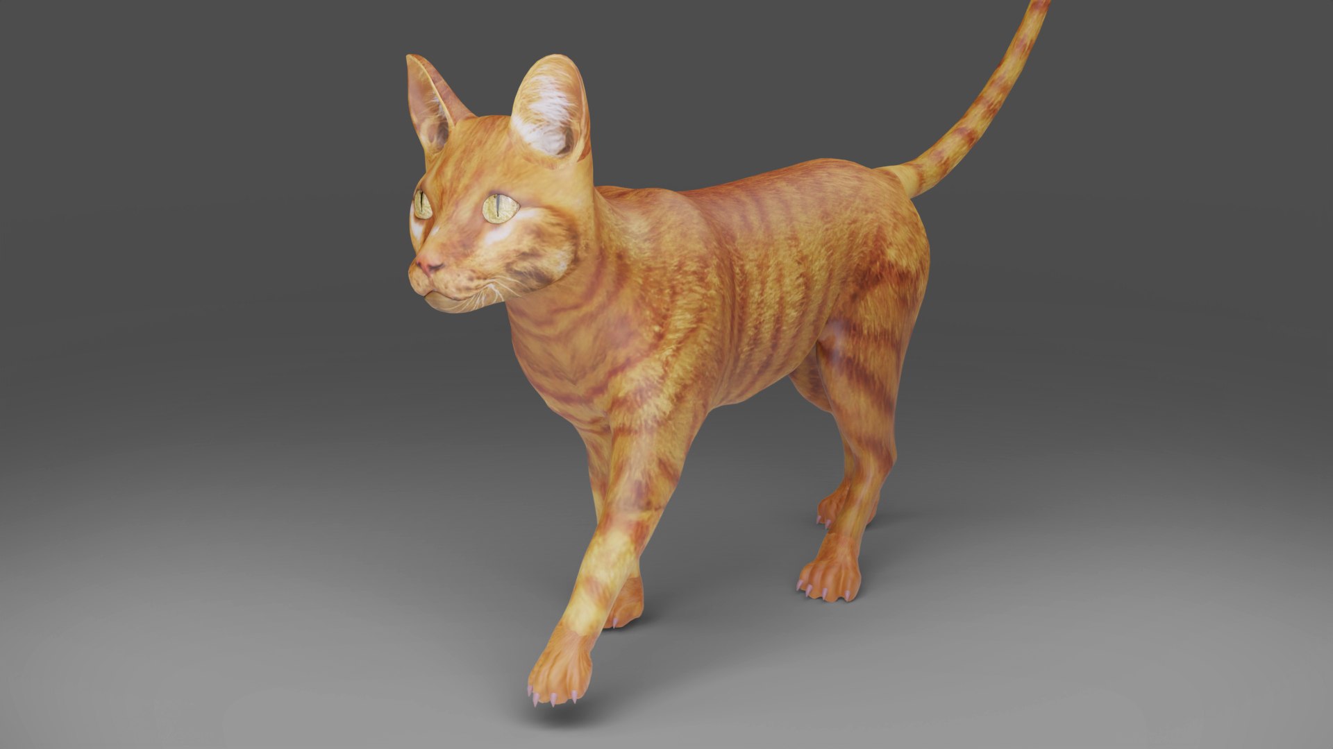 3D Cat Yellow V3 Rigged model - TurboSquid 1982464