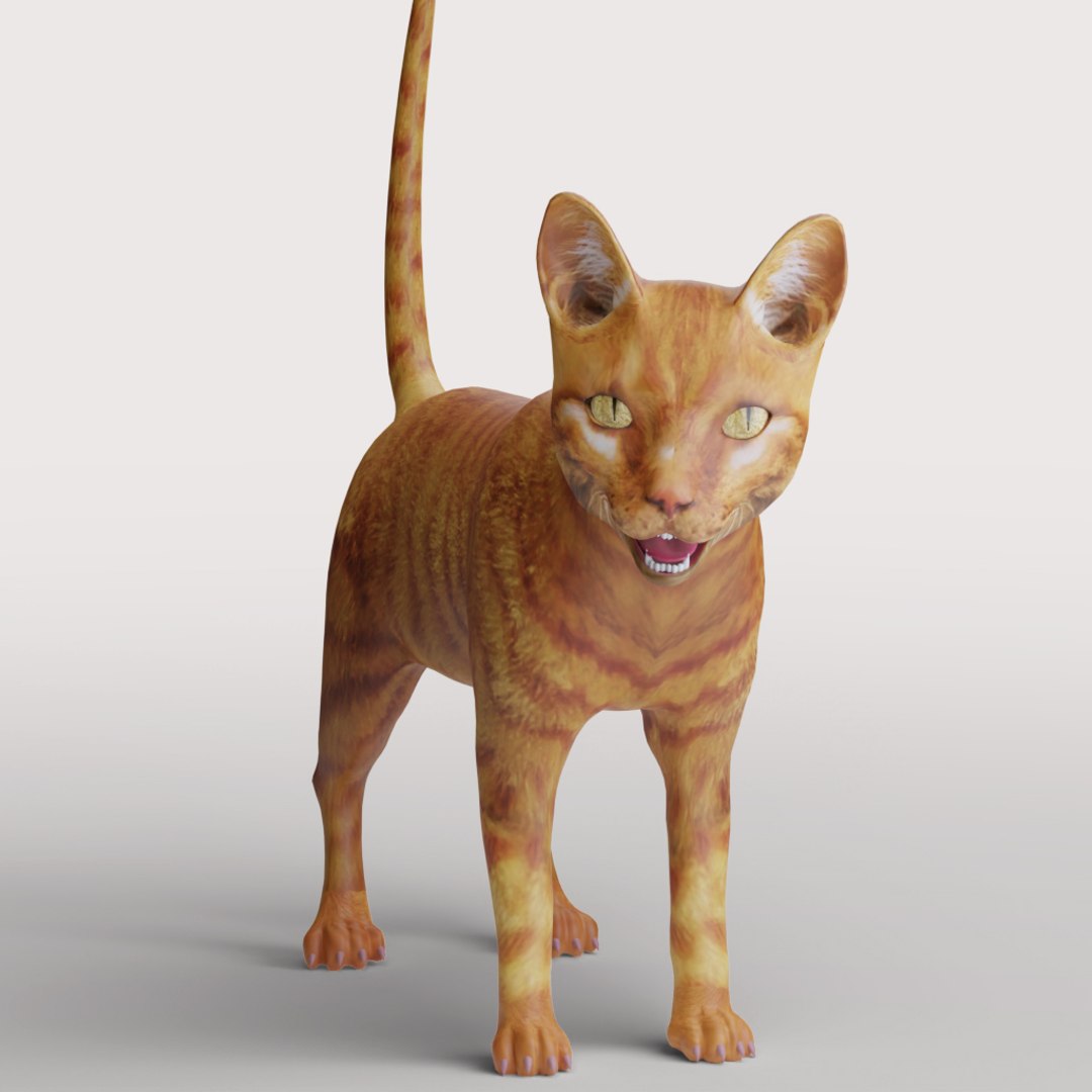 3D Cat Yellow V3 Rigged model - TurboSquid 1982464