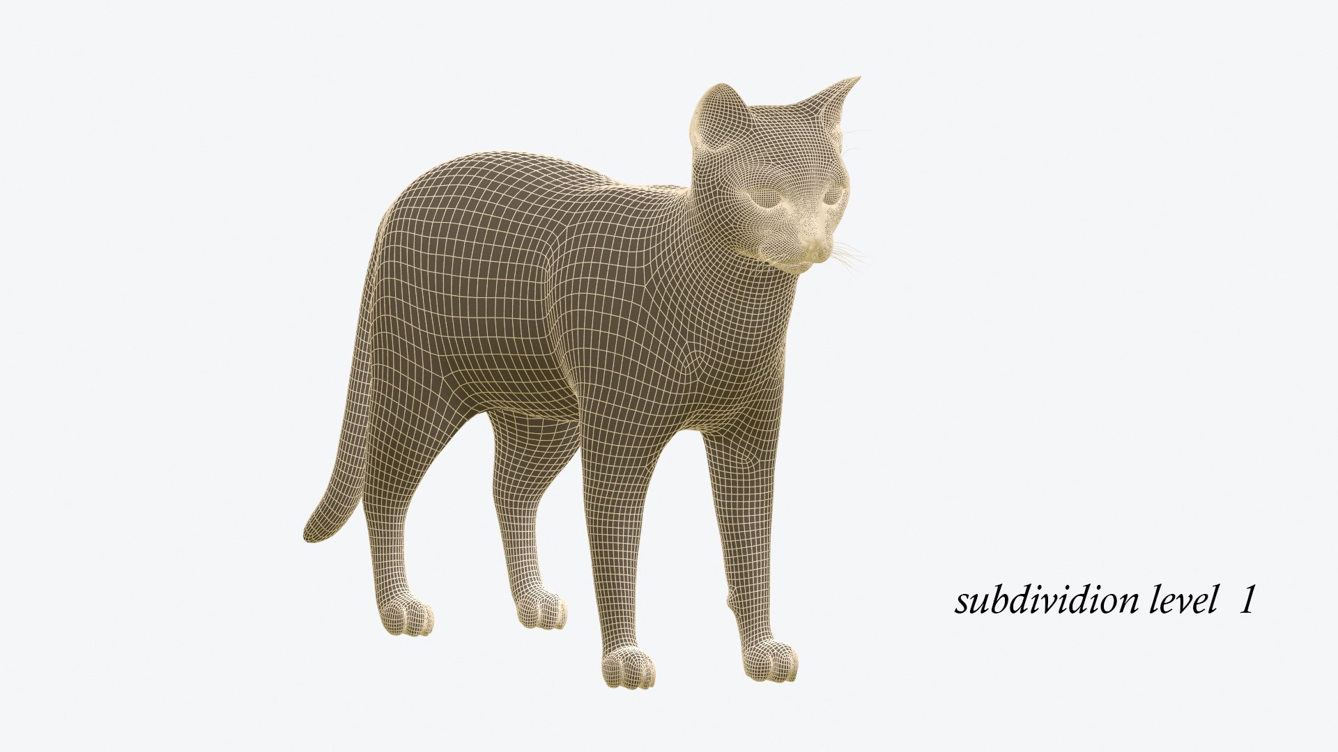 3D Model Cat Collection 3 - TurboSquid 1873804