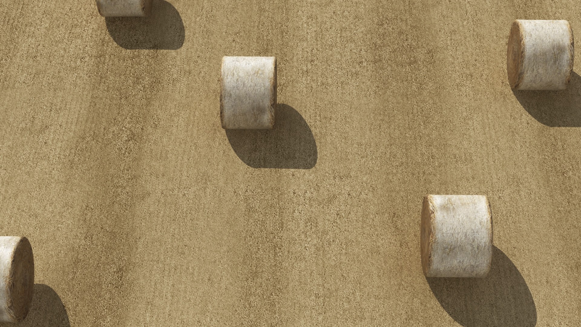 Hay Field 3D - TurboSquid 2345976