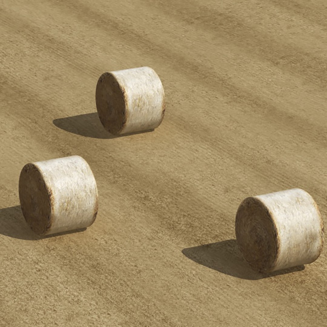 Hay Field 3D - TurboSquid 2345976