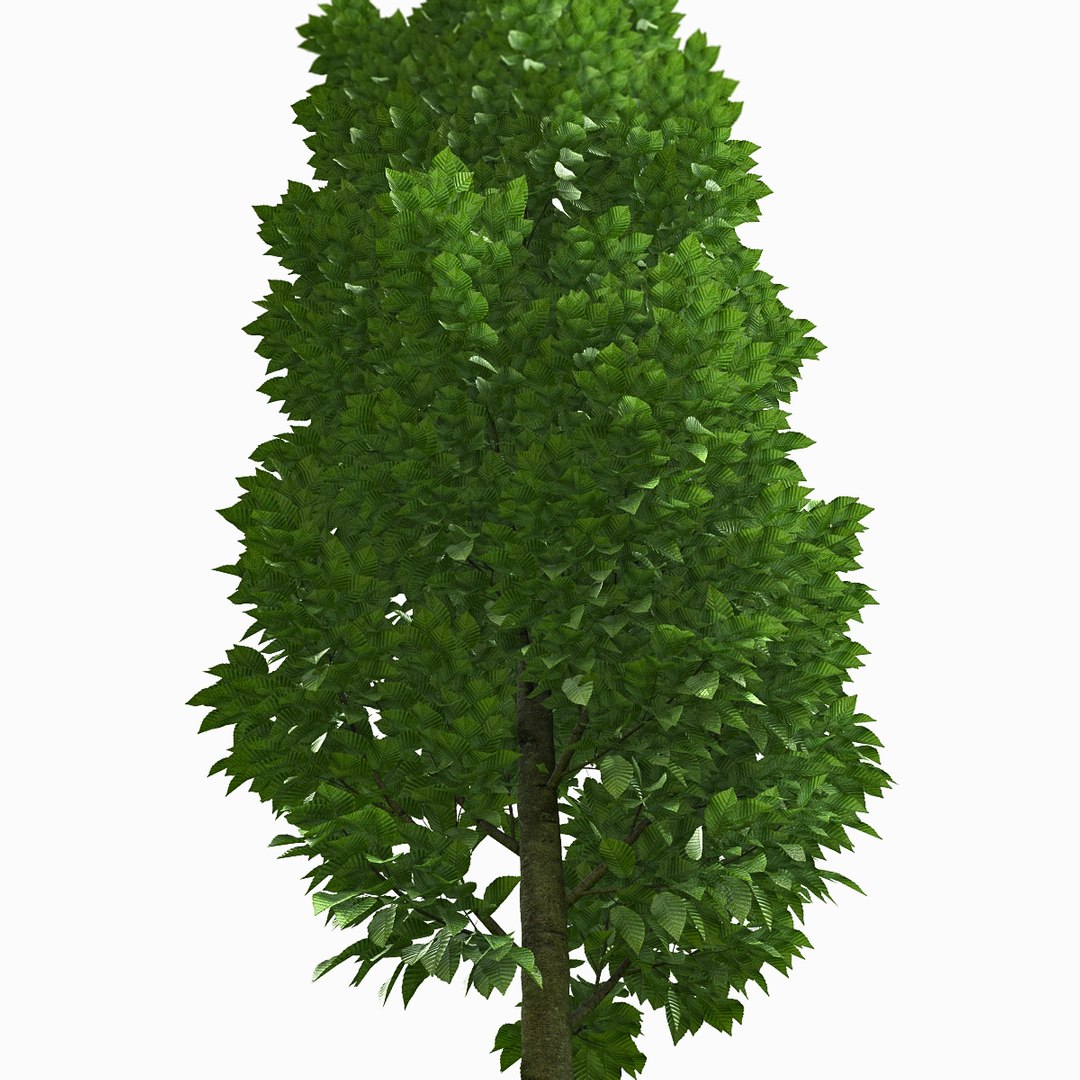 3d model of tree environment