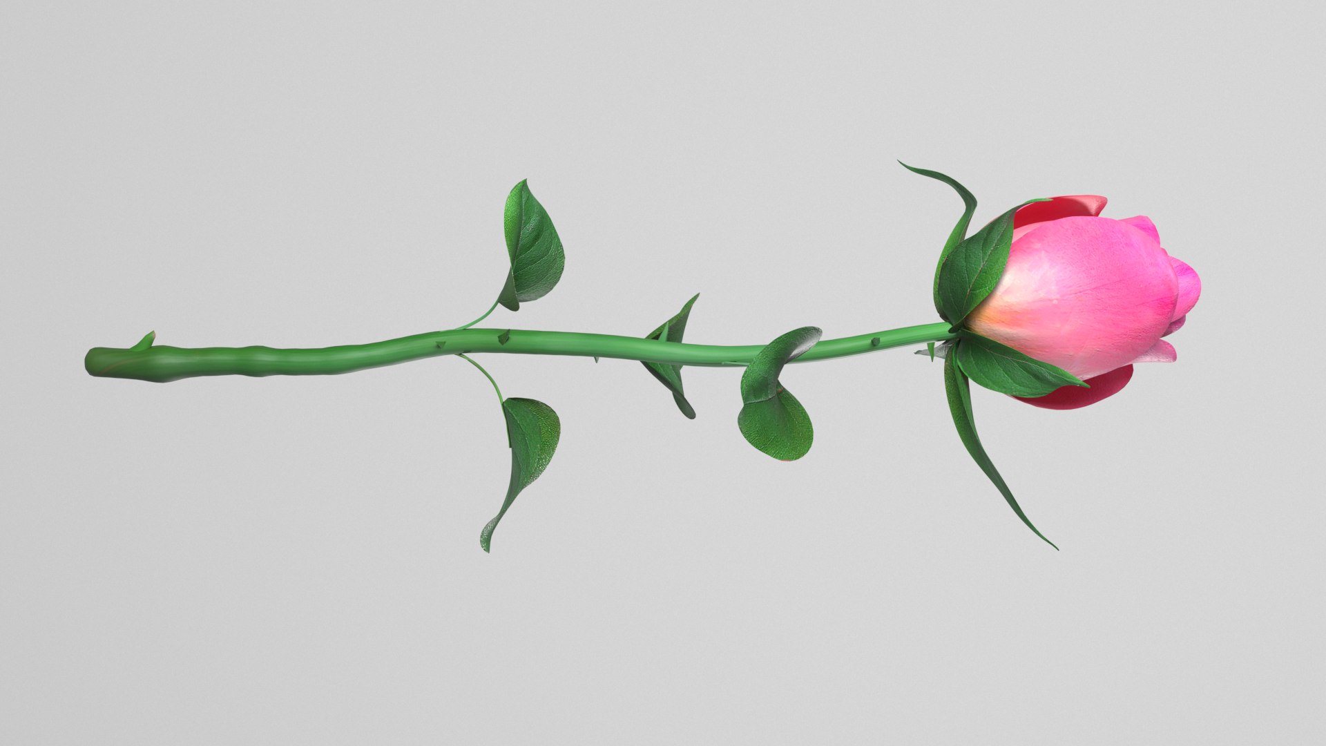Rose Flower 3D Model - TurboSquid 2037582
