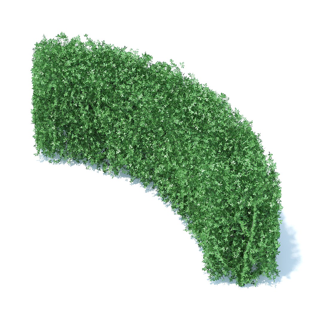 Curved Hedge 3D Model - TurboSquid 1220762