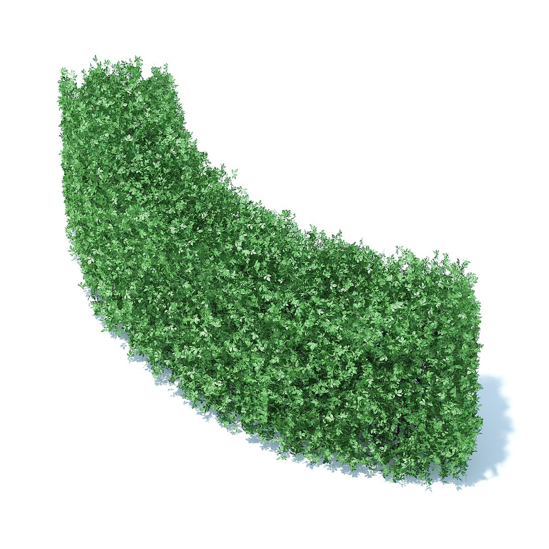 Curved Hedge 3D Model - TurboSquid 1220762