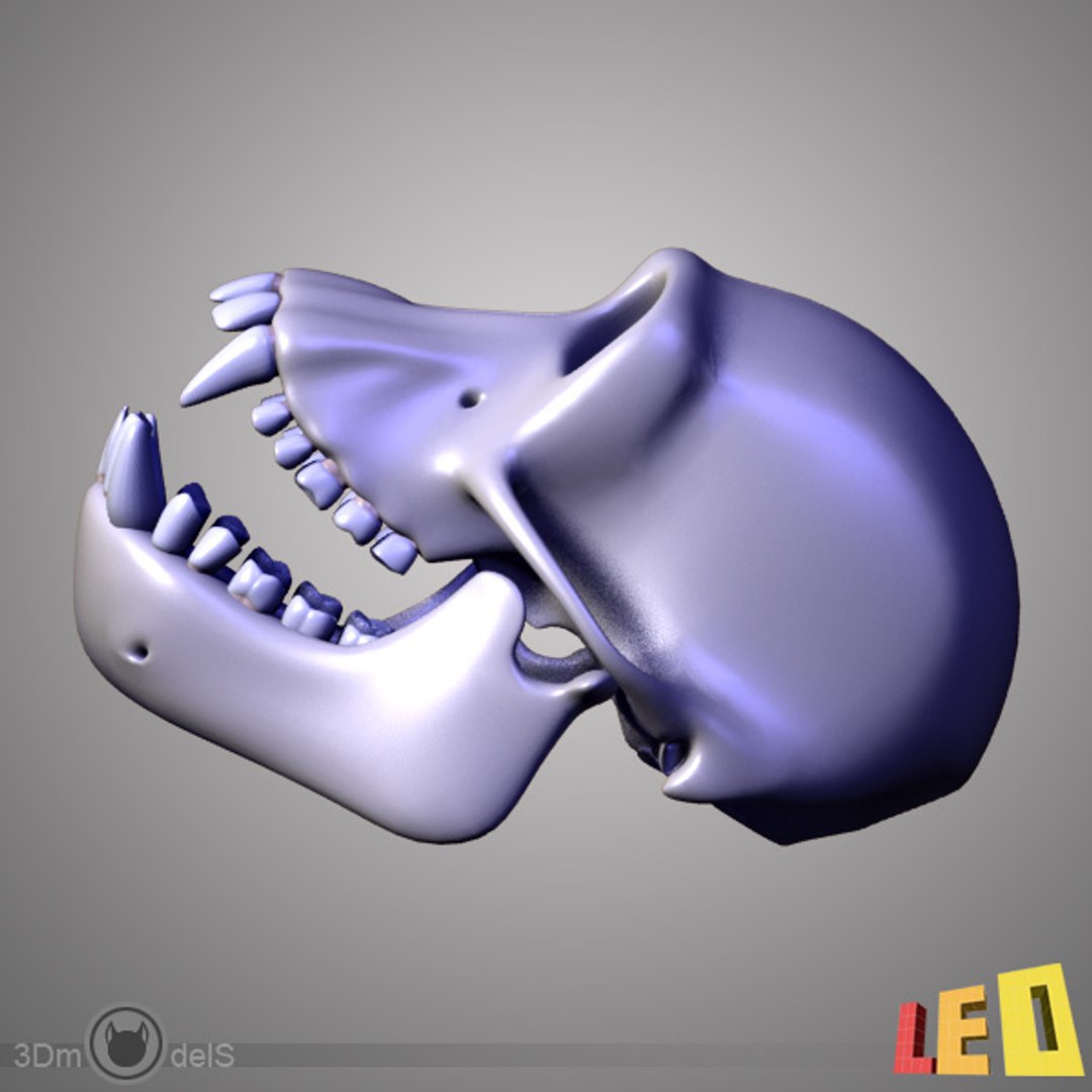 3ds realistic chimpanzee skull