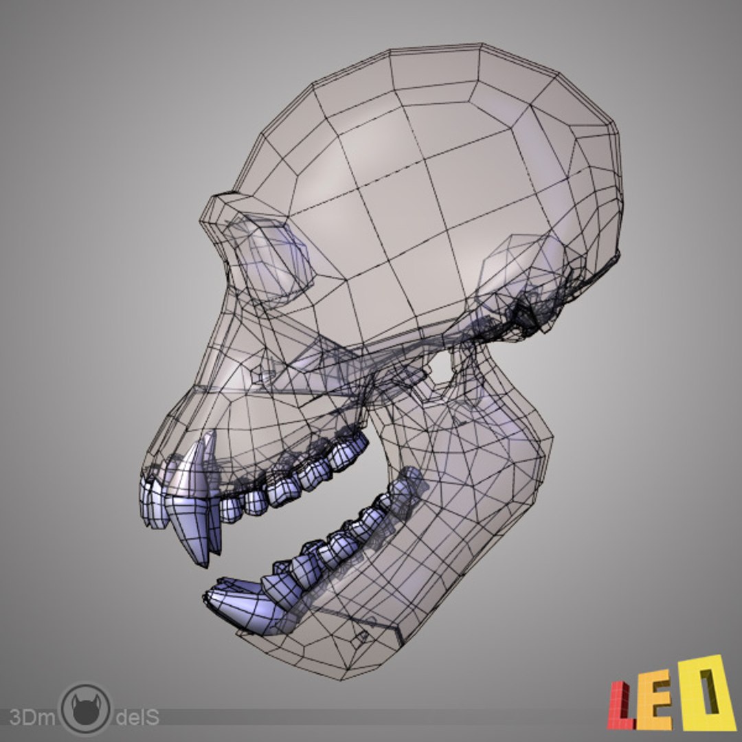 3ds realistic chimpanzee skull