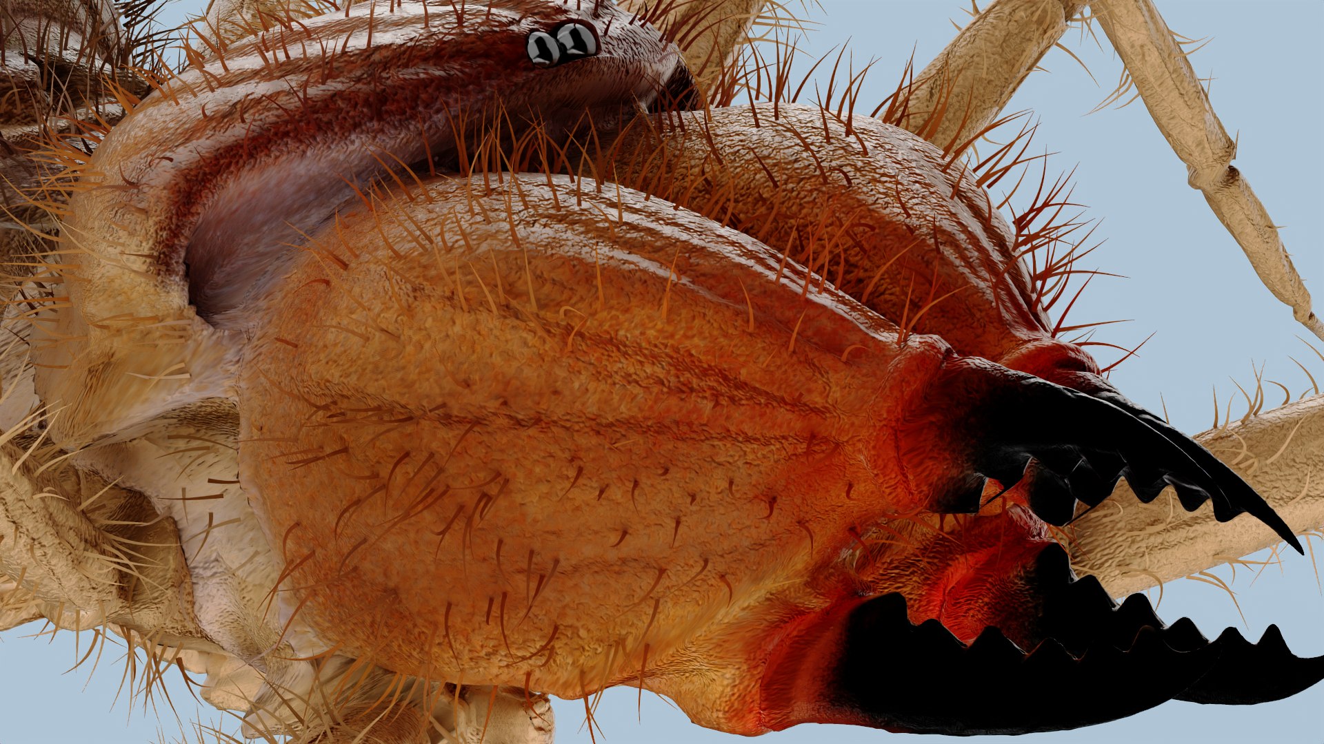 3D Model Monstrous Solifugae - TurboSquid 2081300