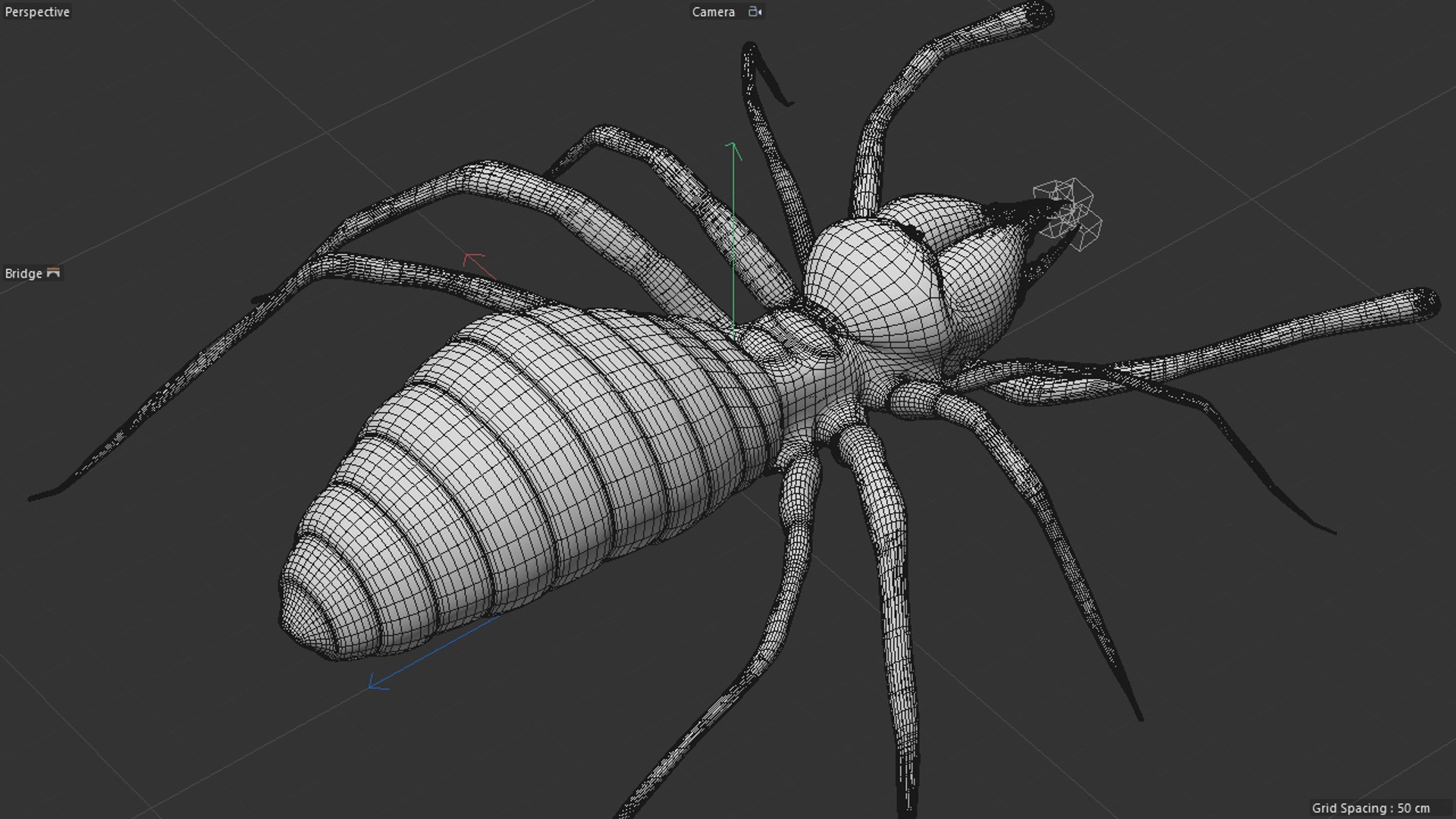3D Model Monstrous Solifugae - TurboSquid 2081300