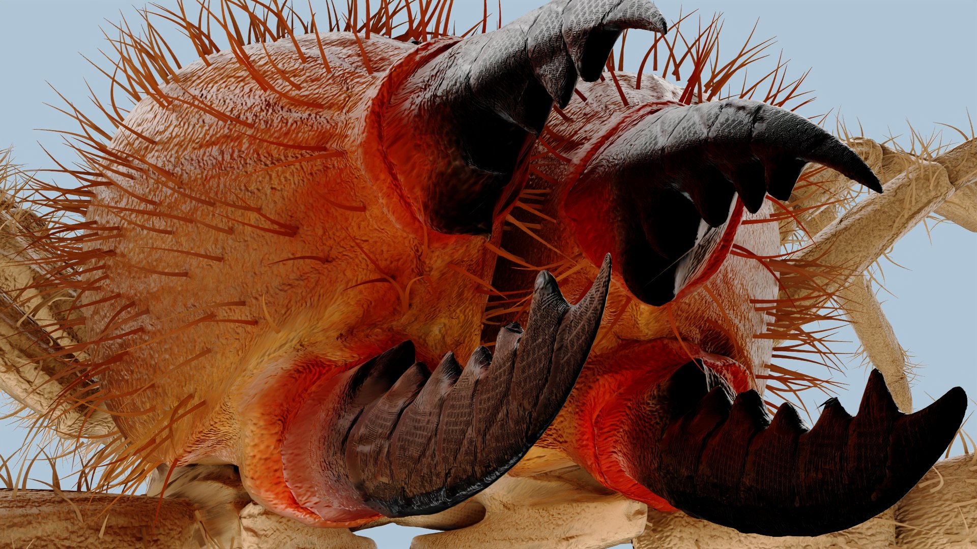 3D Model Monstrous Solifugae - TurboSquid 2081300