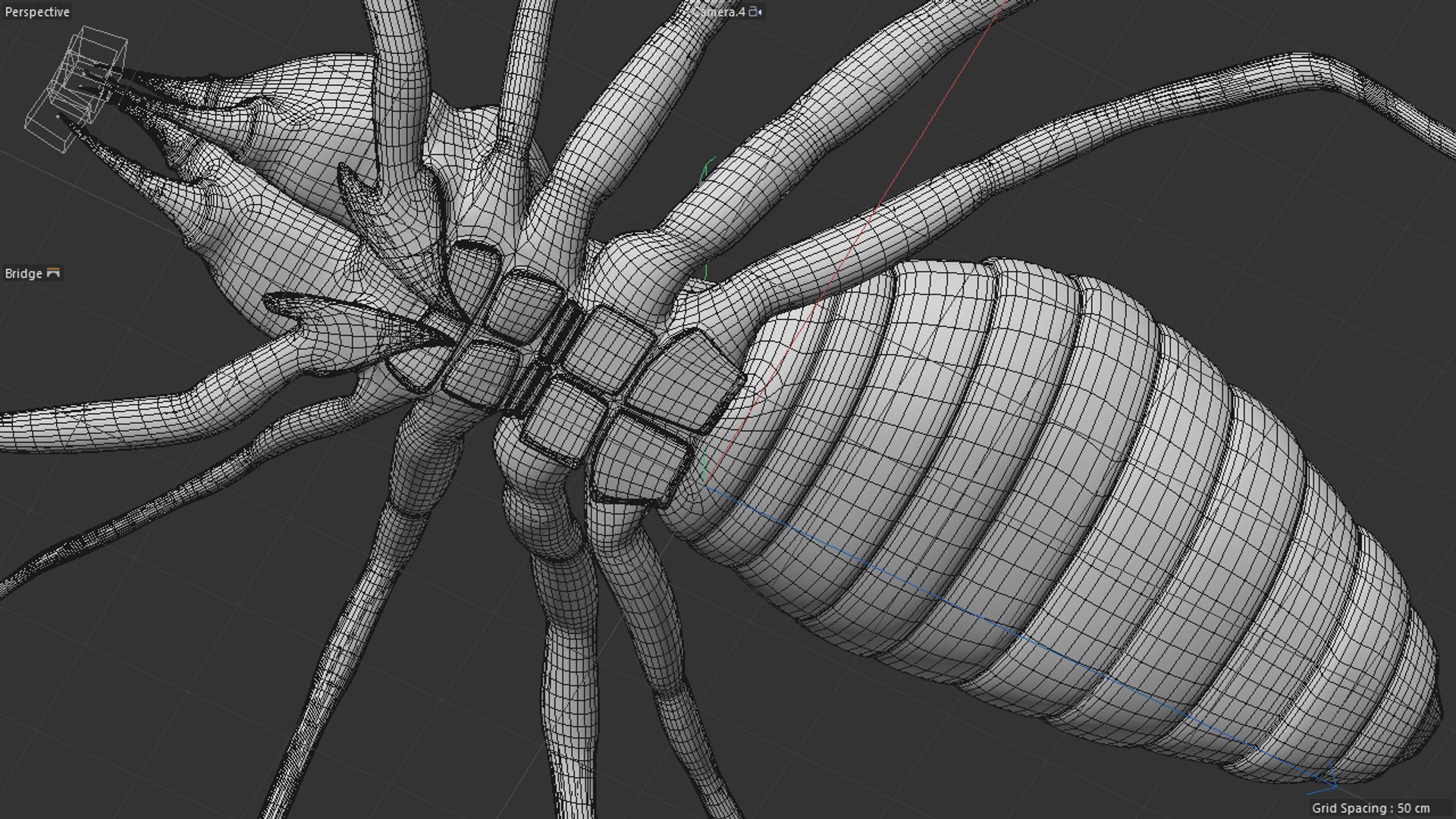 3D Model Monstrous Solifugae - TurboSquid 2081300