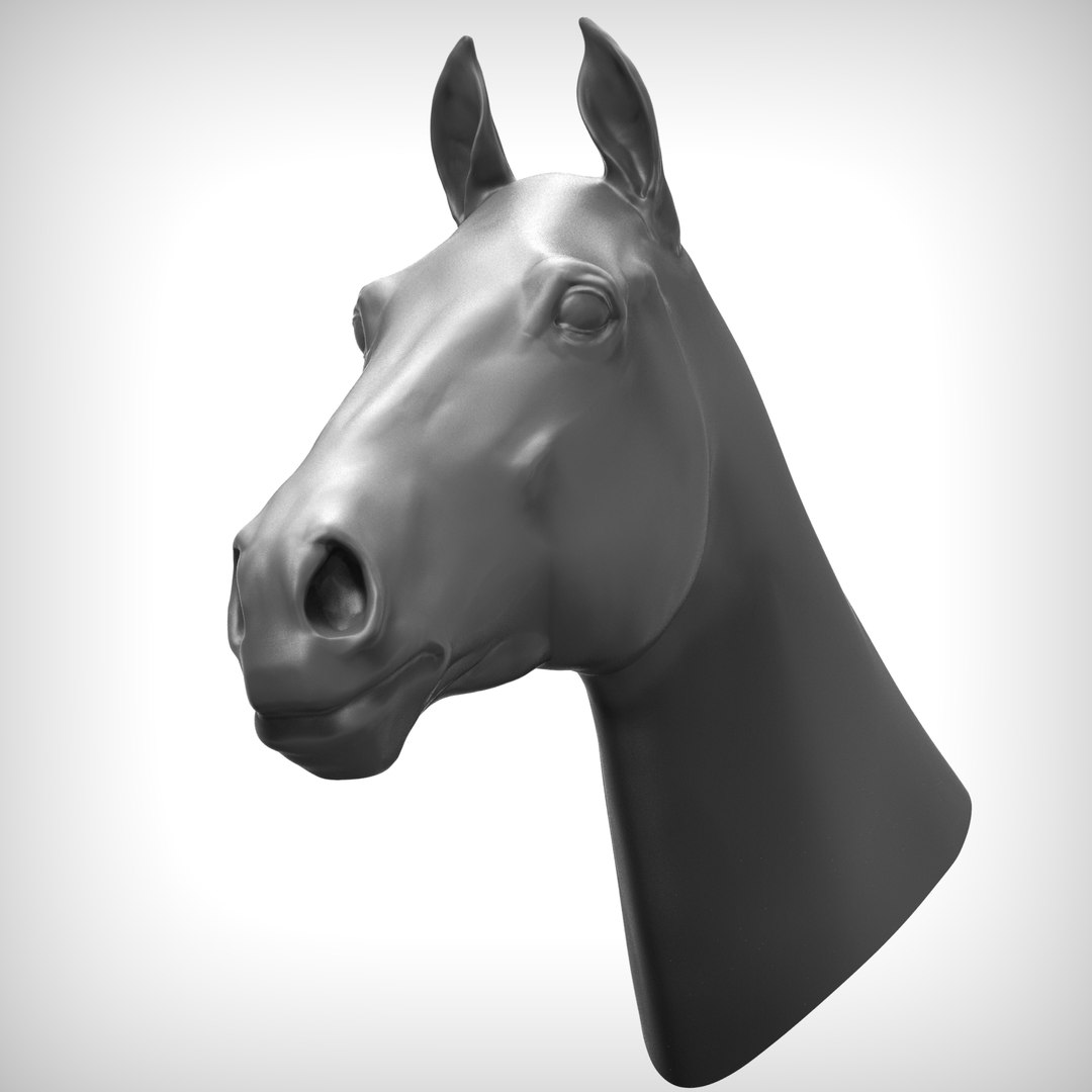 3d Model Horse Head